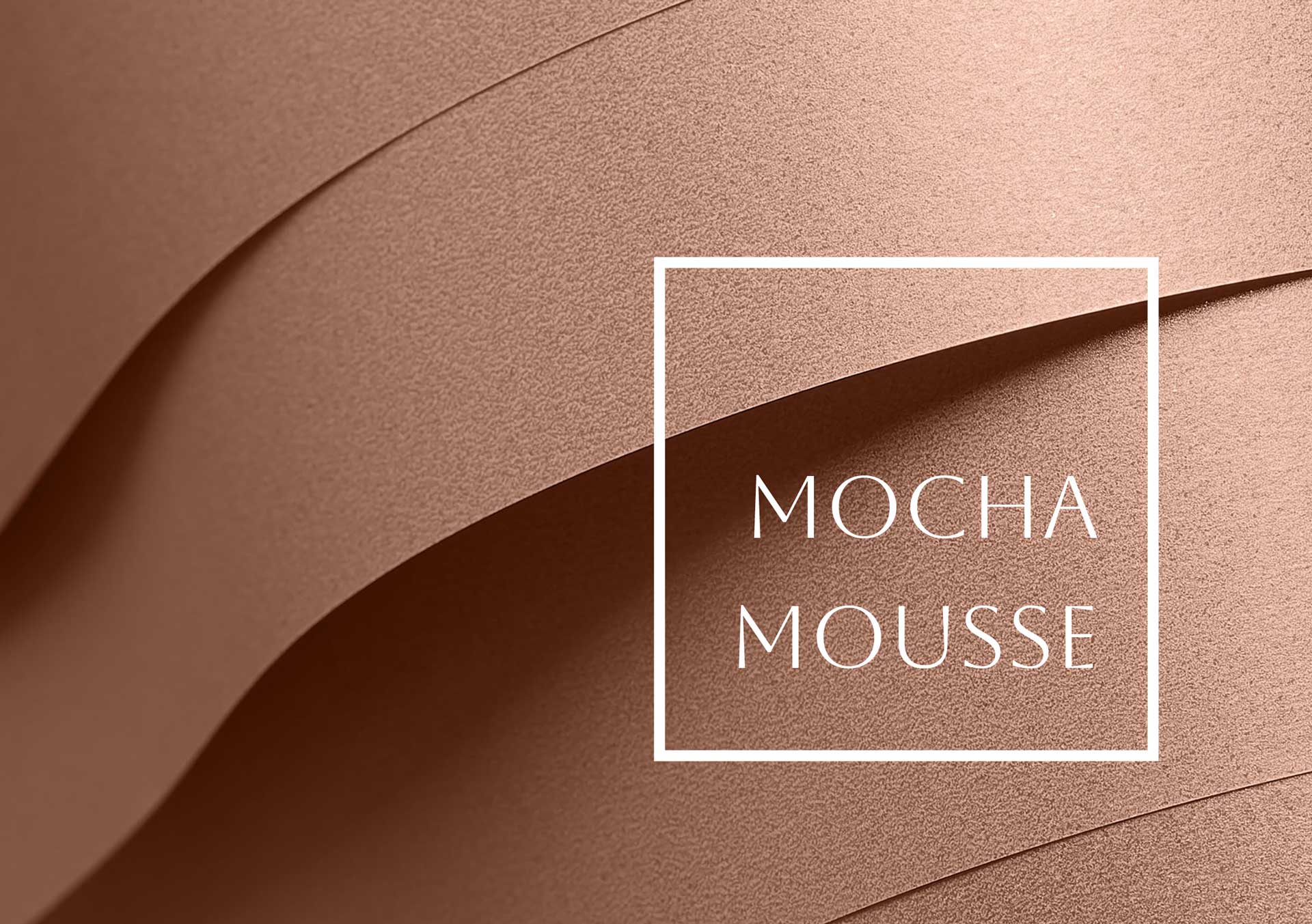L'année 2025 sera "Mocha" ou ne sera pas ! - Agence webdesign.